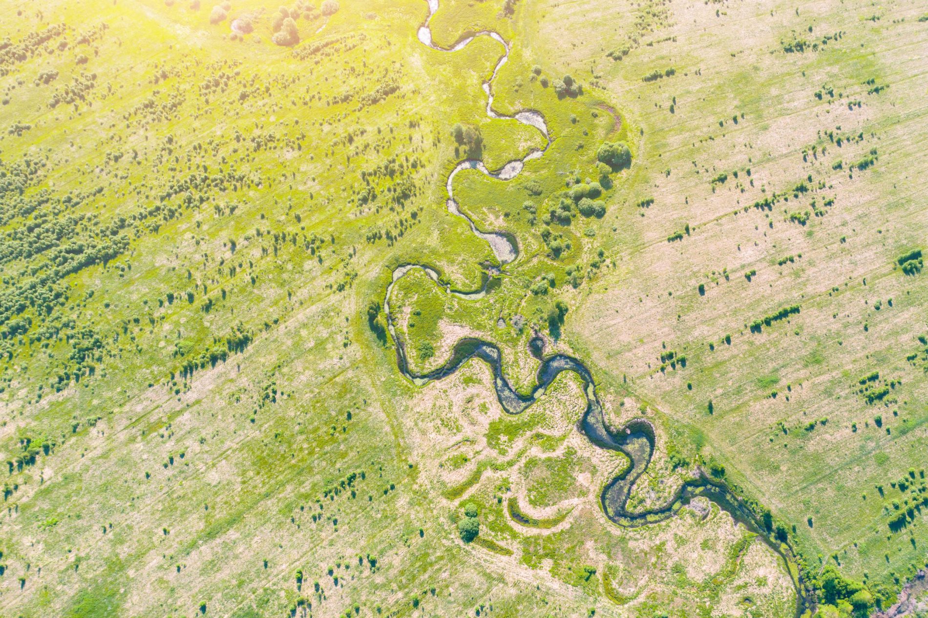 Modernizing Montana Water Rights - RESPEC